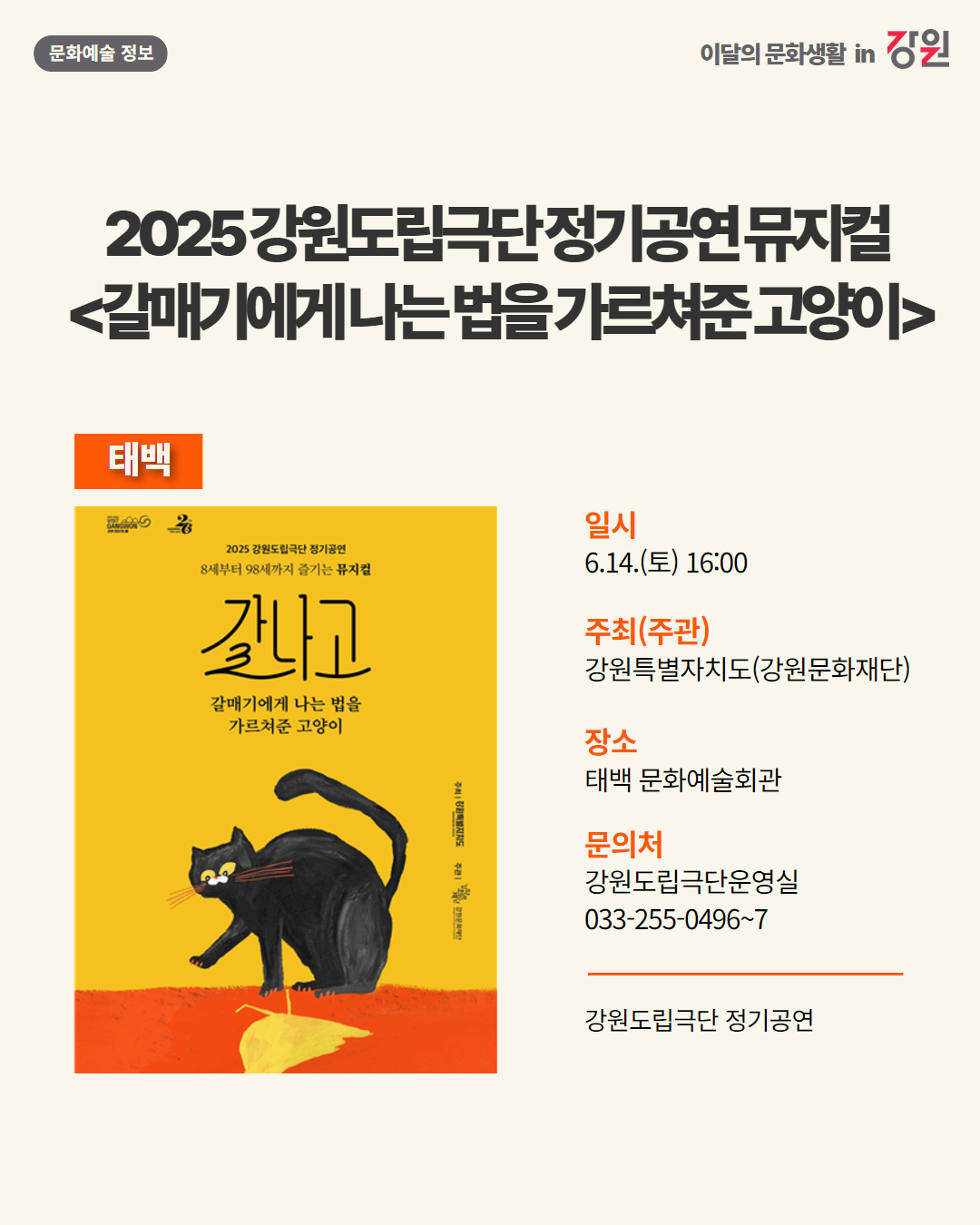 공지사항 | 강원문화재단